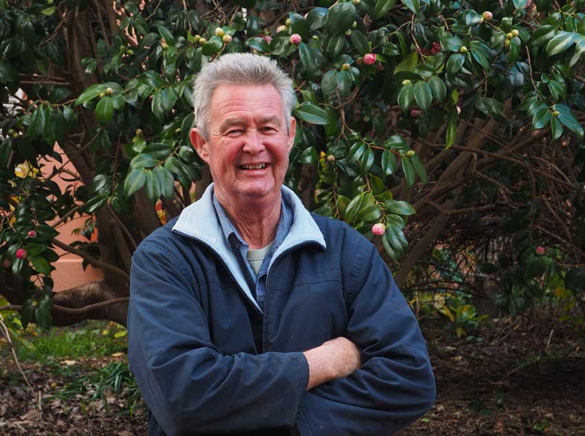 How to: prune a camellia | The Garden Clinic