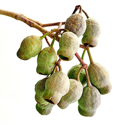 February Garden Care: 12 Essential Tips | The Garden Clinic | The ...